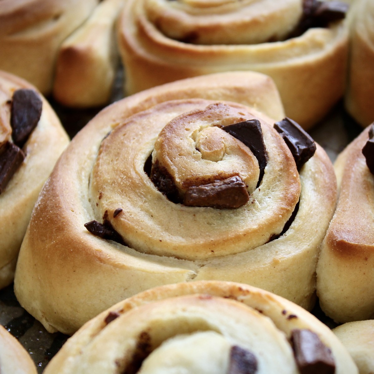 Homemade Chocolate Rolls